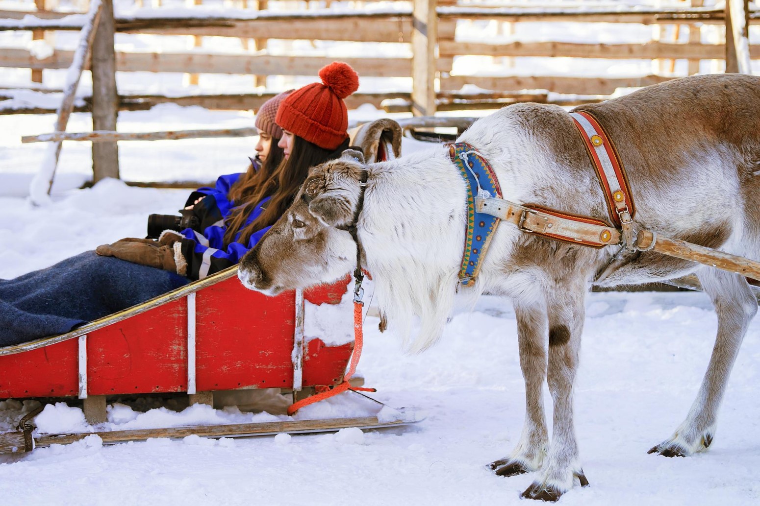 Holiday Club Tropiikki | Navidad